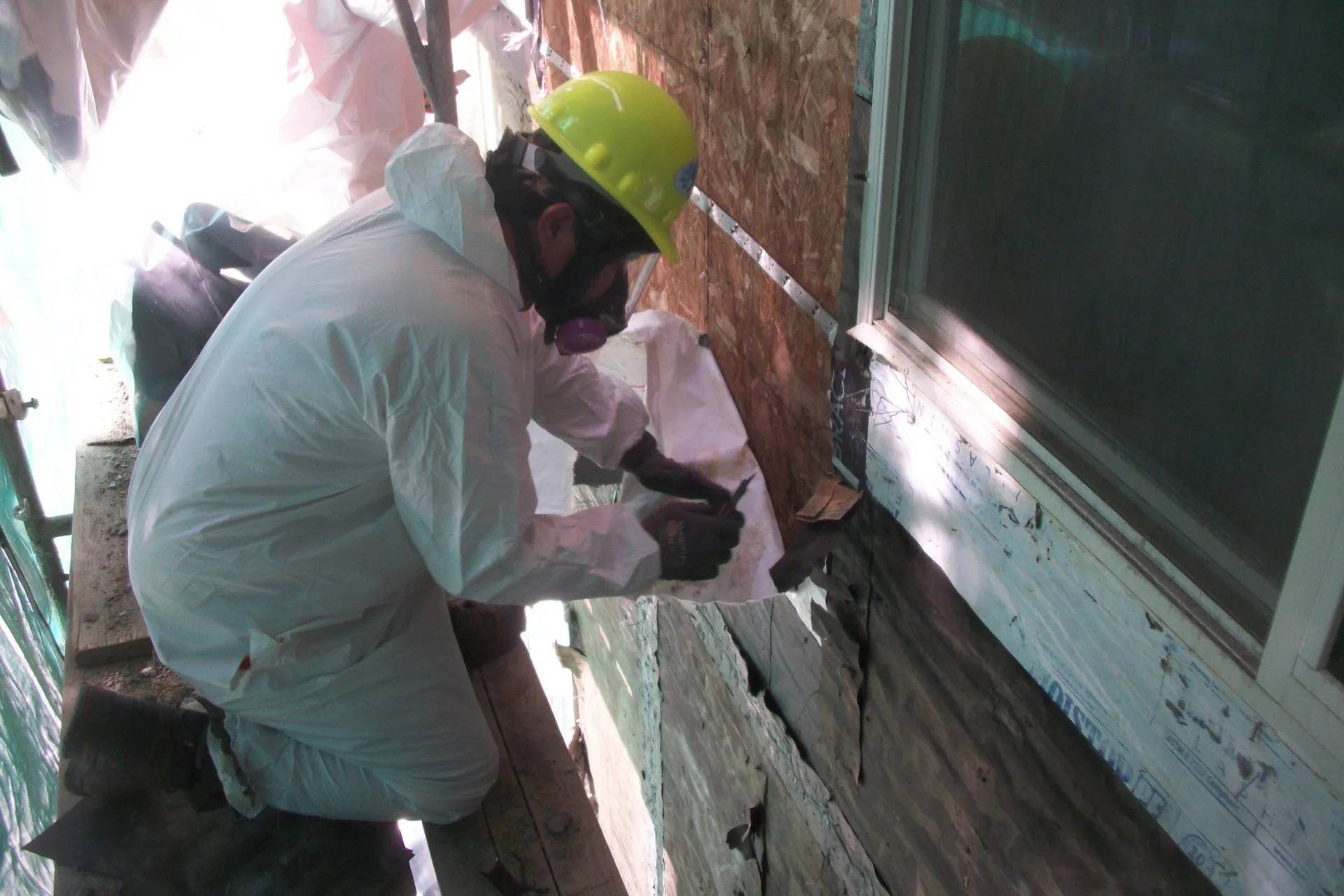 Get Solution for Mold Remediation and Mold Abatement with Us